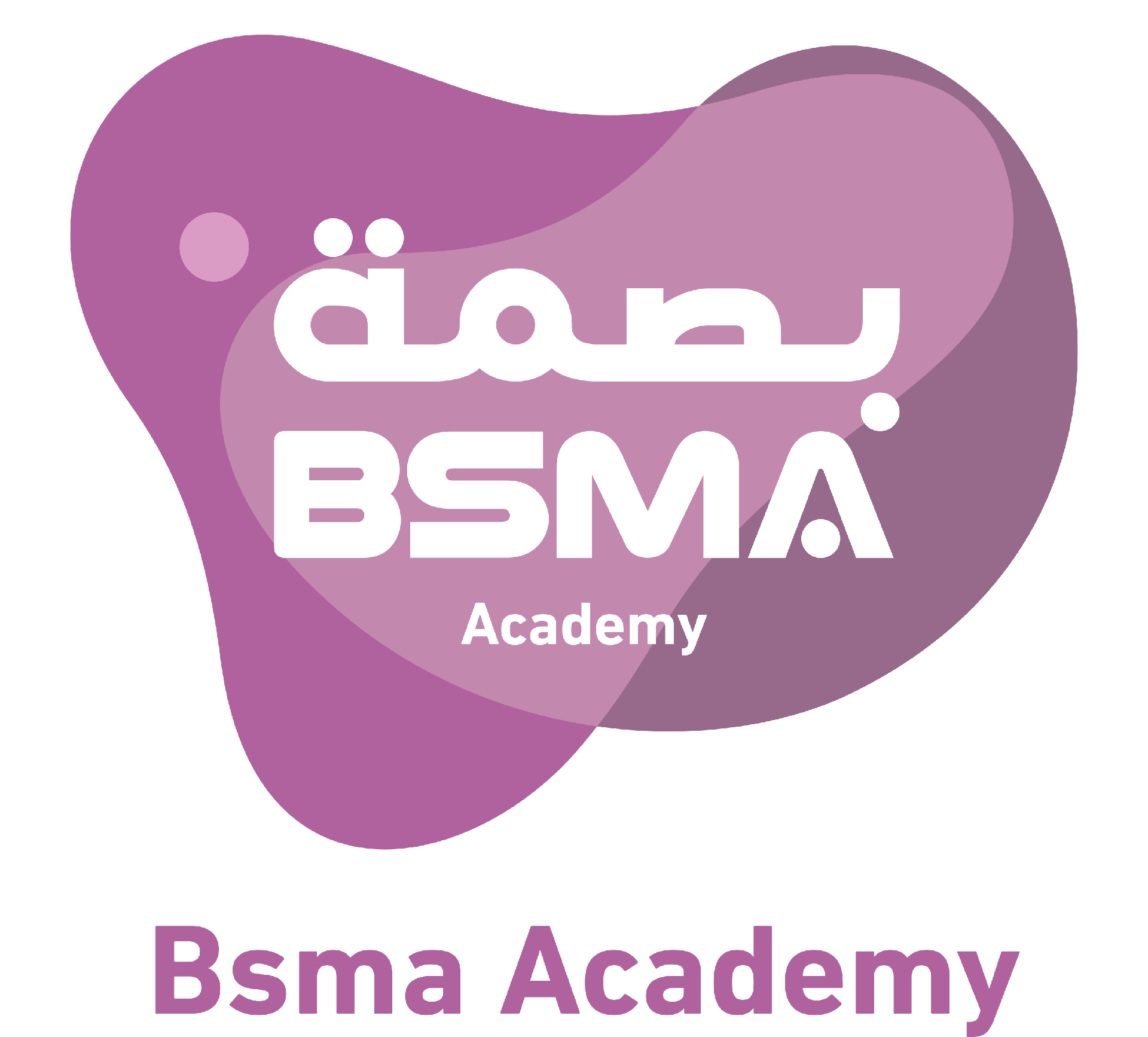 Login | Bsma Academy